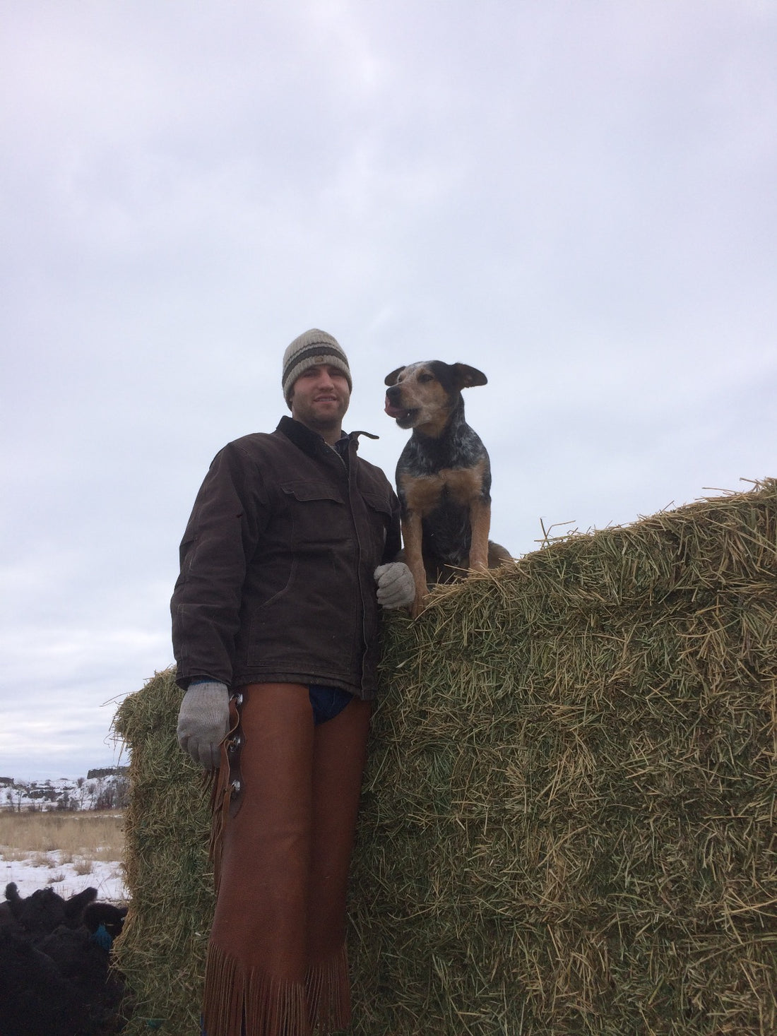 Walking T Beef Natural Beef | Home Delivery | Washington